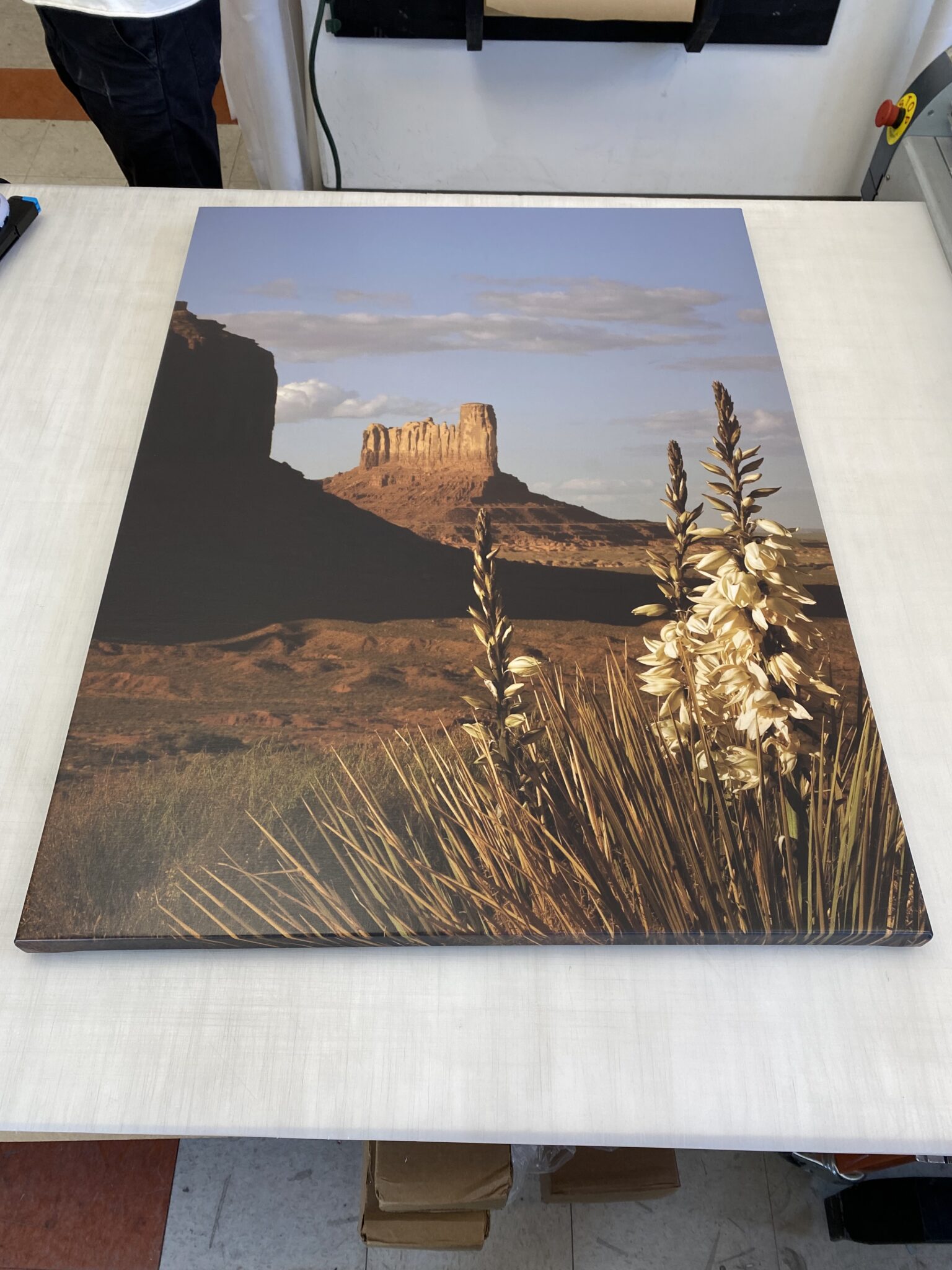 Museum Quality Gallery Wrapped Canvas Printing - A Good Sign